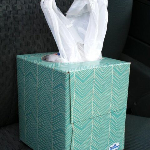 Best Car Cleaning Hacks That Will Actually Deep Clean Your Car ...