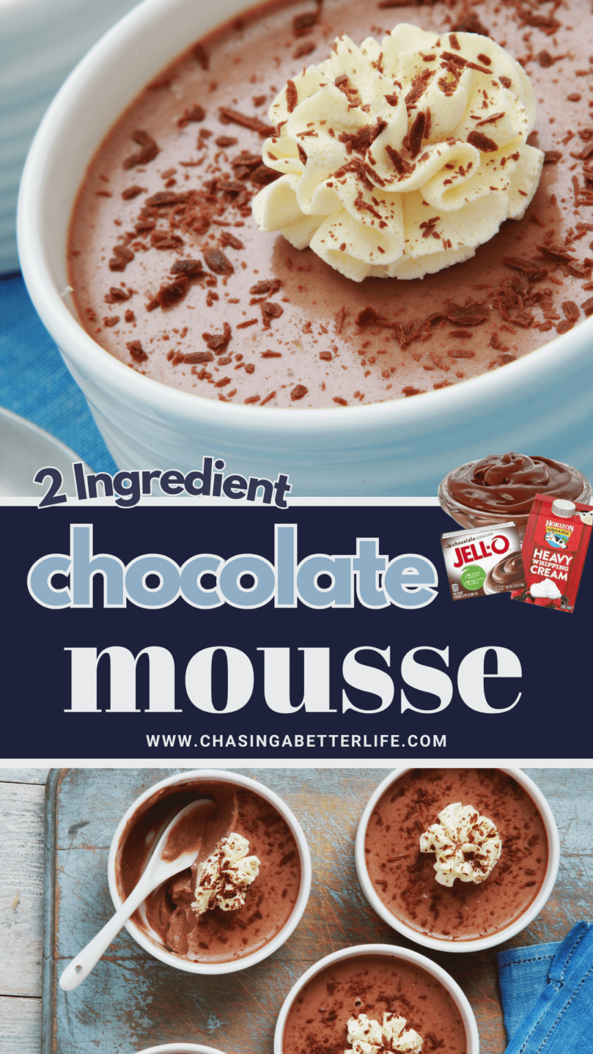 The Ultimate 2 Ingredient Mousse: A Simple, No-Bake Delight